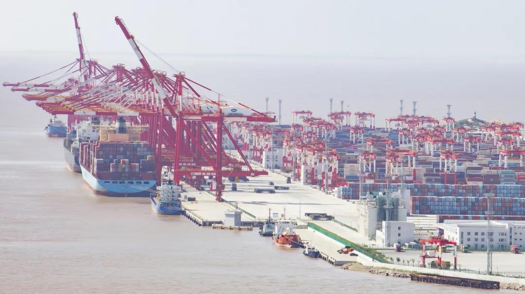 What is the operation process of Sea Freight FCL export freight ...